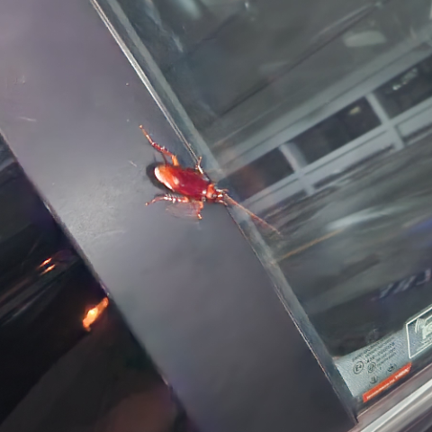 A Guide to Defects Inspection for Your New BTO HDB Flat - Four Solutions